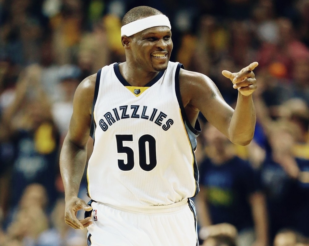 'Z-Bo' anuncia su retirada tras 17 años en la élite | Noticias Diario ...